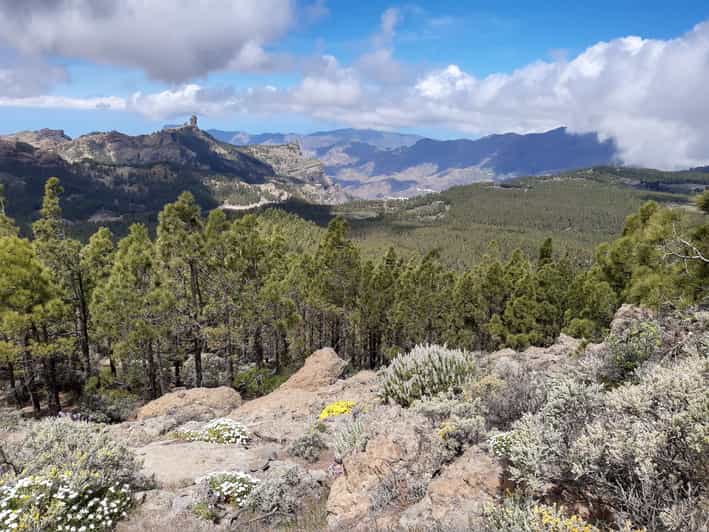 Gran Canaria: "Peaks of Gran Canaria" Hiking Tour | GetYourGuide