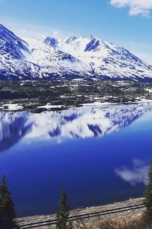 Wild Adventure Yukon + Summit Tour | GetYourGuide