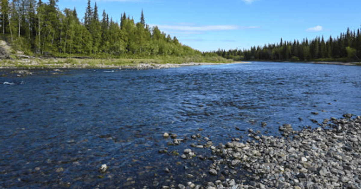 Snake River Full–Day Group Fishing Trip | GetYourGuide