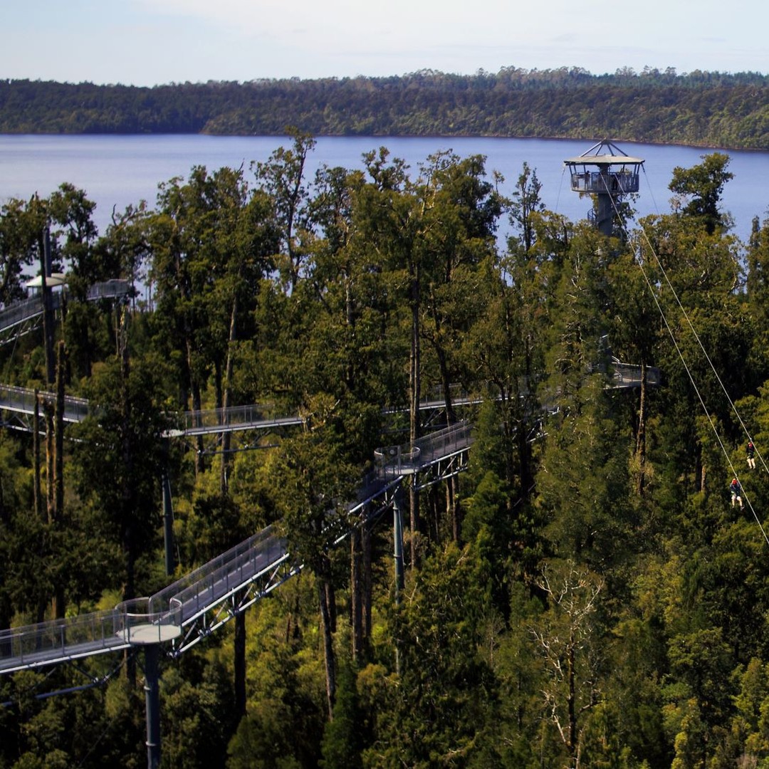 Hokitika: West Coast Tree Top Tower Zip Line and Walk | GetYourGuide