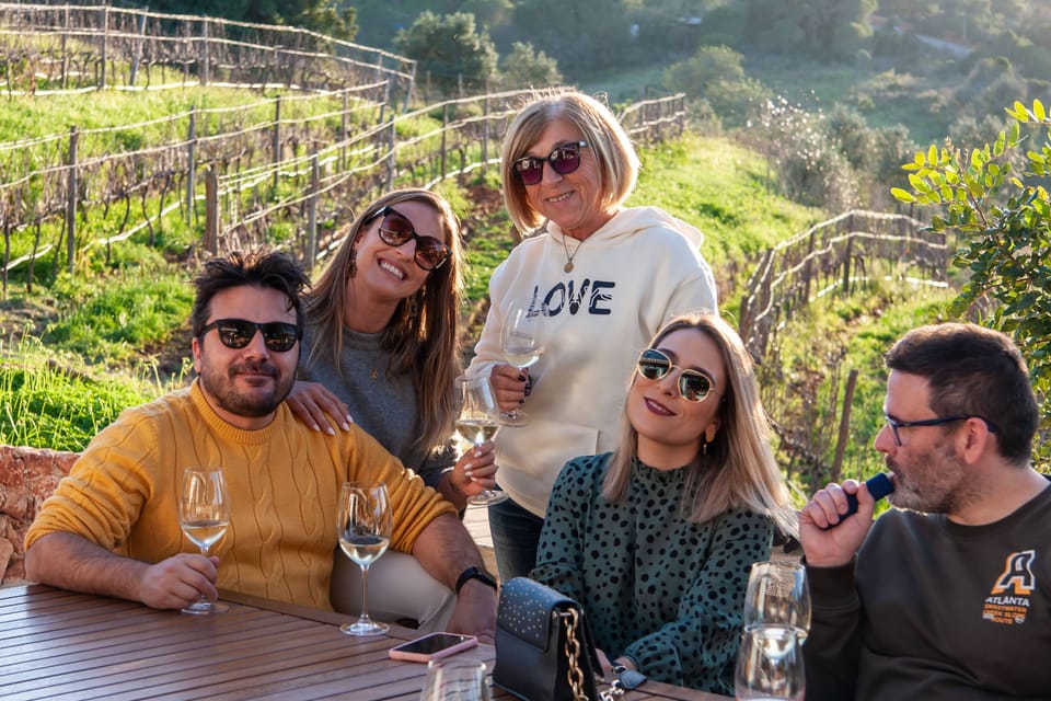 Porches: Algarve Vineyard Tour and Wine Tasting Experience | GetYourGuide