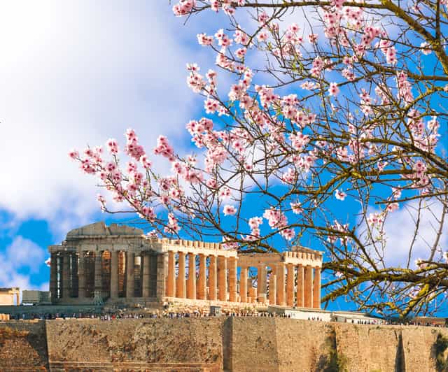 Athens: Top Sights Private Half-Day Tour | GetYourGuide