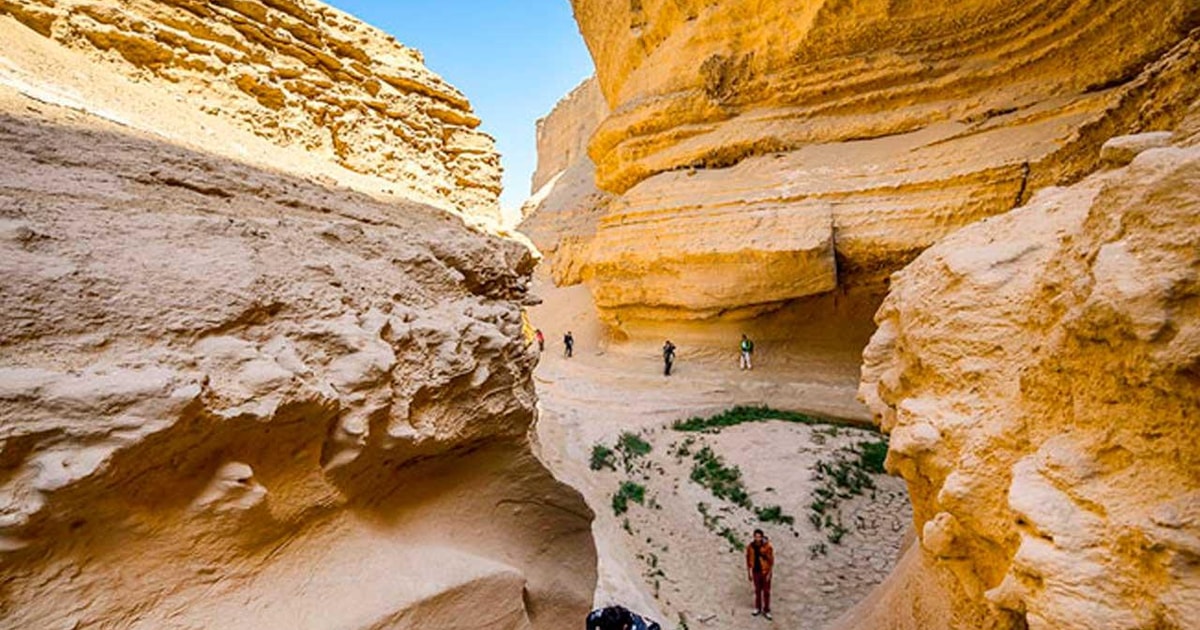 From Paracas/Ica: Canyon of the Lost Guided Day Trip | GetYourGuide