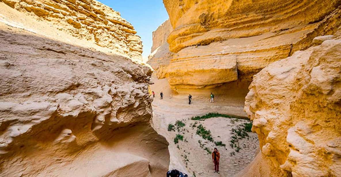 From Paracas/Ica: Canyon of the Lost Guided Day Trip | GetYourGuide