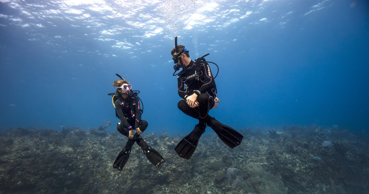 Fujairah: Scuba Diving Experience with BBQ lunch | GetYourGuide