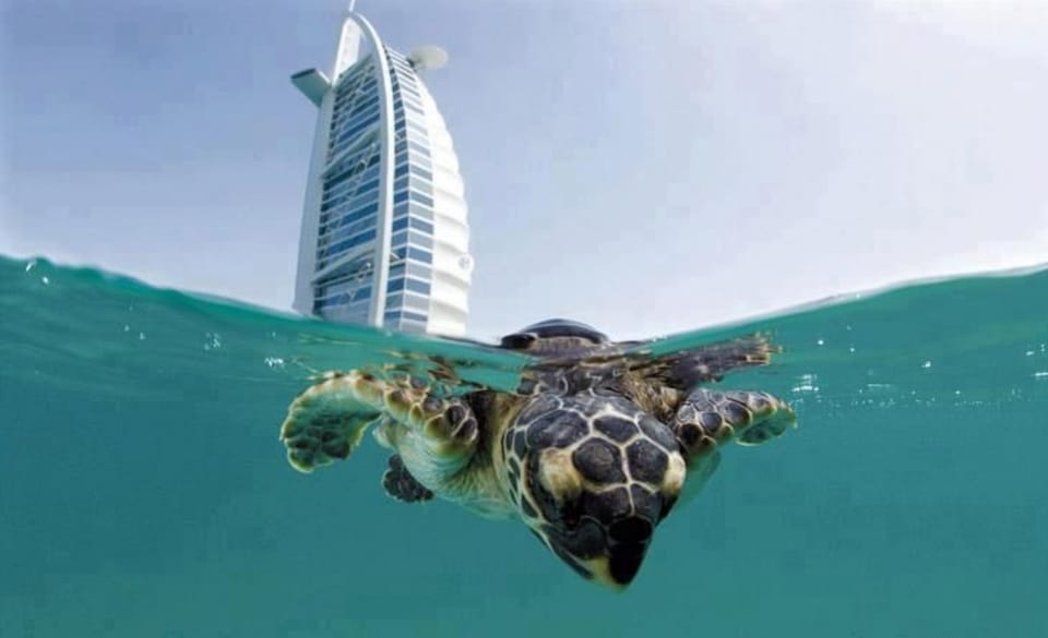 Dubai: Reef of Burj Al Arab Scuba Diving Experience | GetYourGuide