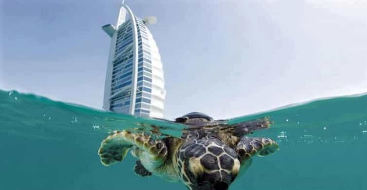 Dubai: Reef of Burj Al Arab Scuba Diving Experience | GetYourGuide