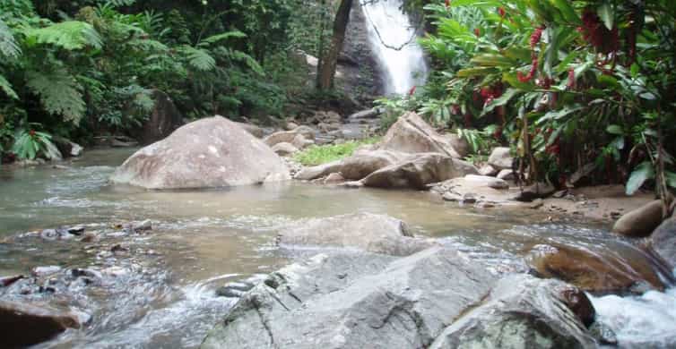 The BEST Coral Coast, Fiji Tours and Things to Do in 2023 - FREE ...