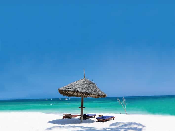 Sansibar: Mnemba Insel, Affen & Kuza Höhle Private Tour | GetYourGuide