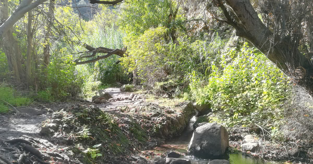Gran Canaria: "Magic Waterfalls" Hiking Tour | GetYourGuide