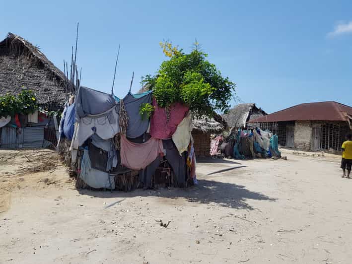 Pemba Island Tour Trip | GetYourGuide