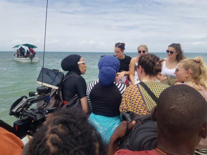 Pemba Island Tour Trip | GetYourGuide
