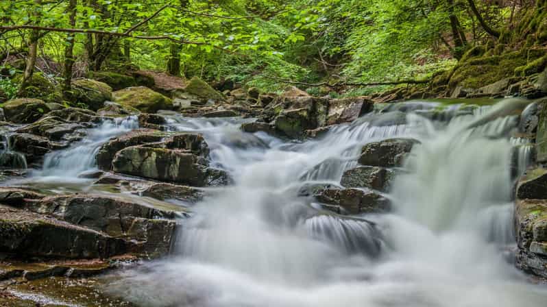 Edinburgh: Waterfalls Hike, Scone Palace & Queens View Tour | GetYourGuide