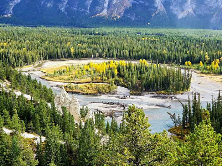 From Banff: Banff National Park Guided Day Tour | GetYourGuide