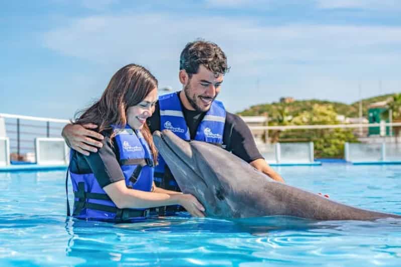 Cabo San Lucas: Clase de Nado con Delfines con Especialista Marino ...