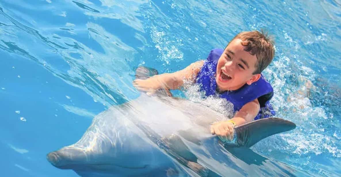 Cabo San Lucas: Dolphin Swim Class with Marine Specialist | GetYourGuide