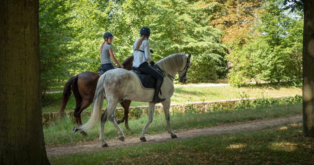 Horse ride Versailles Intimacy & ViP | GetYourGuide