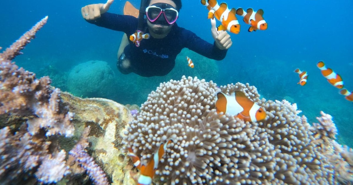 From Jepara: Karimunjawa Archipelago 3-Day Snorkeling Tour | GetYourGuide
