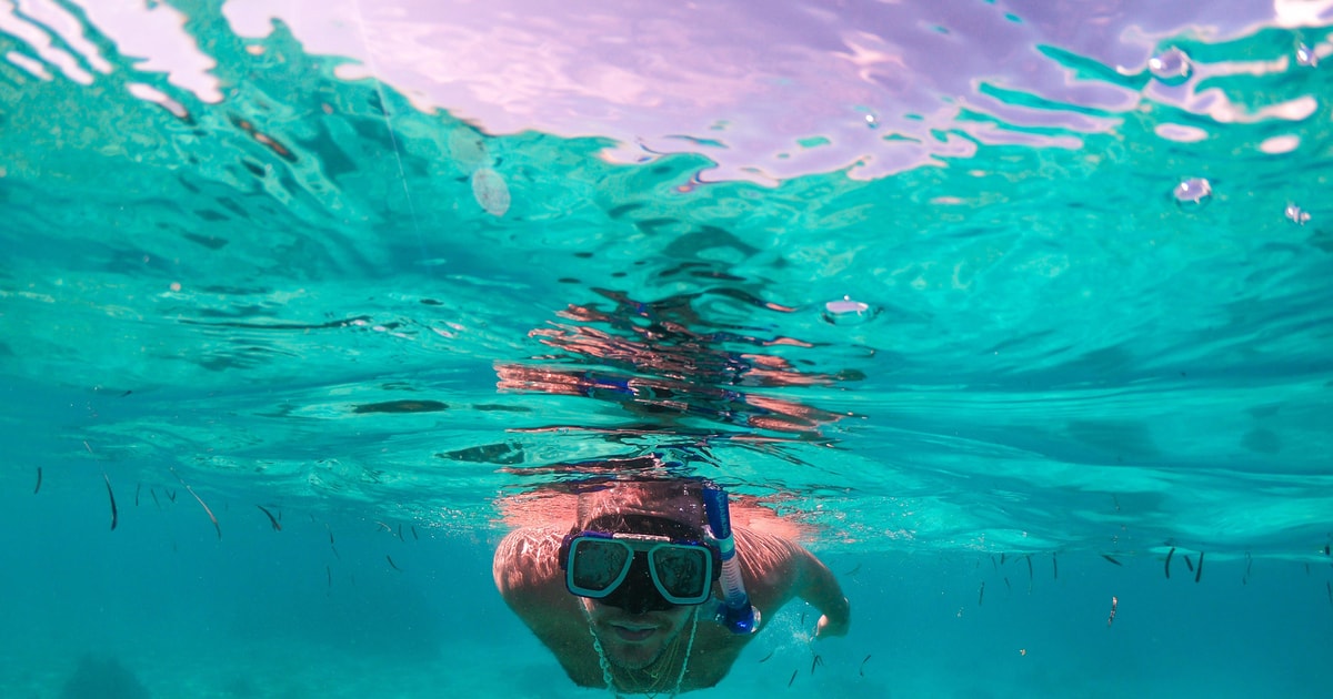 Bohol: Pamilacan Island Delfin-/Schildkrötenbeobachtungstour ...