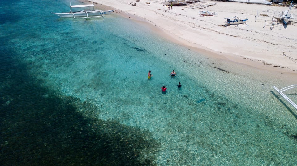 Bohol: Pamilacan Island Dolphin/Turtle Watching Tour & Lunch | GetYourGuide