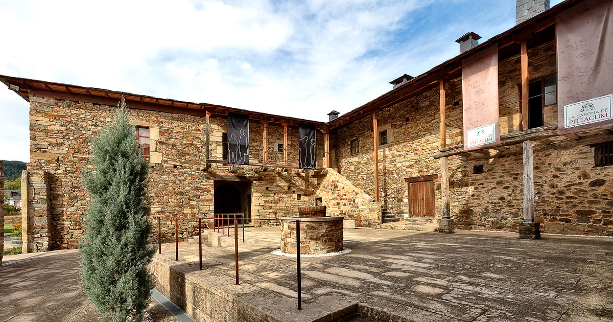 El Bierzo: Arganza Şaraphanesi Turu ve Tadımları | GetYourGuide