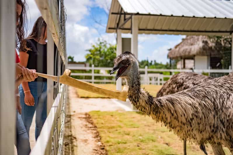 Punta Cana: Xploration Animal Park Bus Tour with Encounters | GetYourGuide