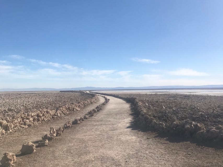 San Pedro de Atacama: Red Rocks & Altiplano Lagoons Day Trip | GetYourGuide
