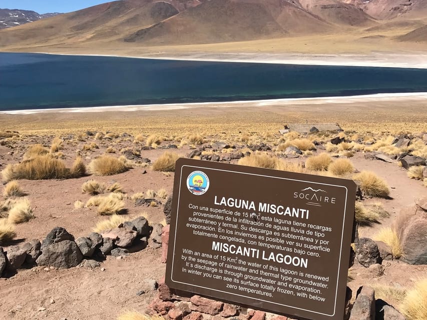 San Pedro de Atacama: Red Rocks & Altiplano Lagoons Day Trip | GetYourGuide