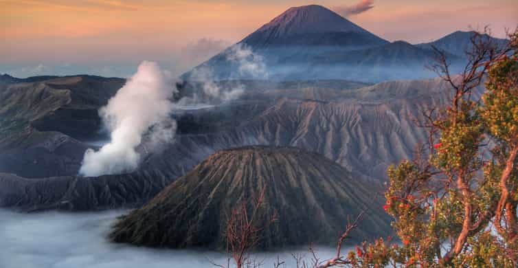 The BEST Mount Bromo Private car tours 2023 - FREE Cancellation ...