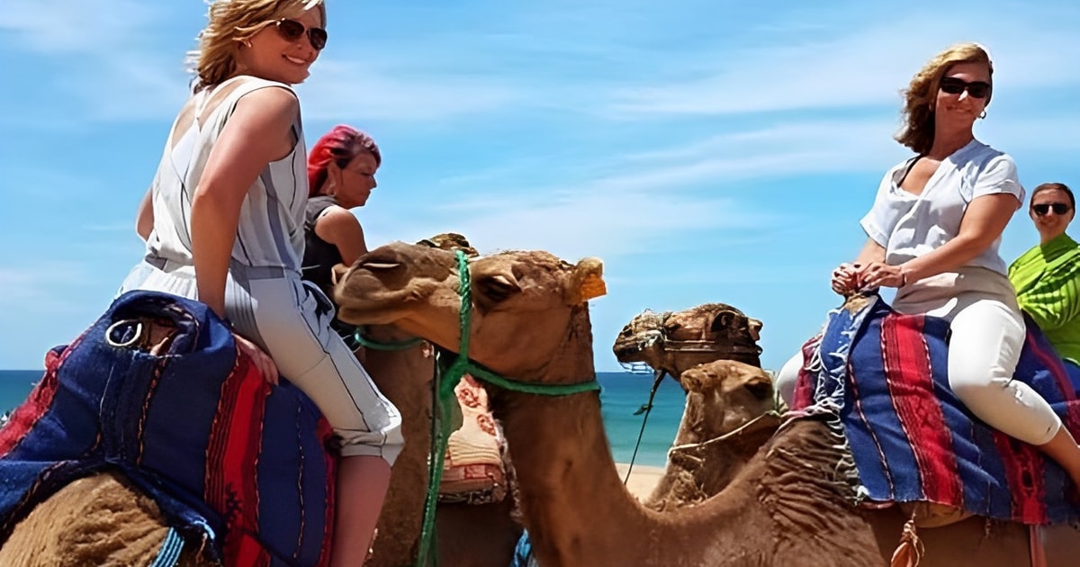 Tanger: Ganztägige private Sightseeing-Tour mit Kamelritt | GetYourGuide