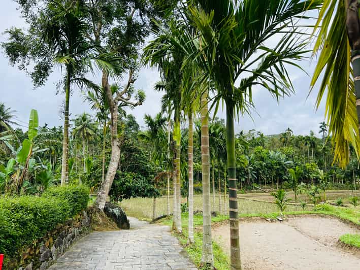 Hoi An: Day Trip to Loc Yen Village & O O Waterfall w/ Lunch | GetYourGuide