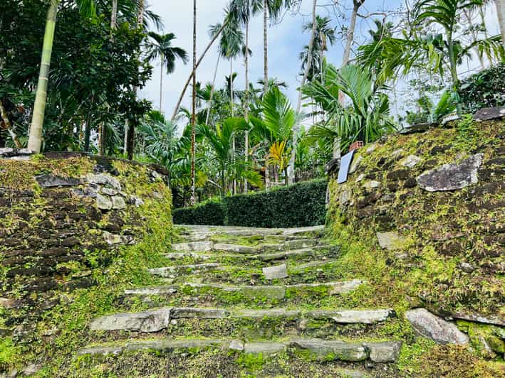 Hoi An: Day Trip to Loc Yen Village & O O Waterfall w/ Lunch | GetYourGuide
