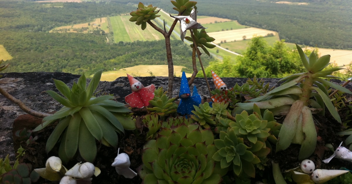 Istrië: rondleiding door Binnen-Istrië met proeverij van eten ...