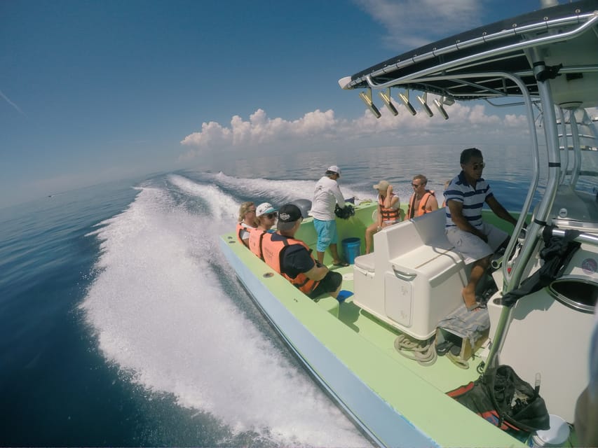 Cancun: Swim with Whale Sharks Boat Tour | GetYourGuide