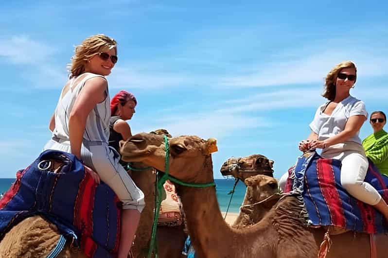 Tangier: Private Half-Day Tour and Camel Ride | GetYourGuide