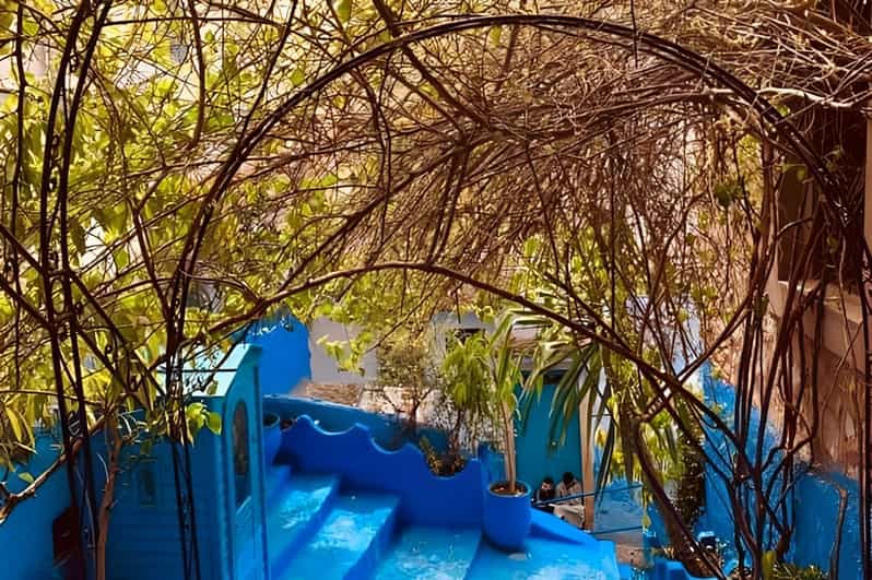 Van Tanger: Chefchaouen Private Day Tour | GetYourGuide