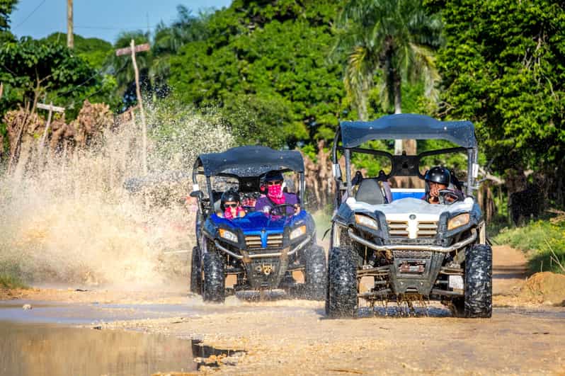 Macao Beach: Buggy Safari and Cenote Swimming with Pickup | GetYourGuide