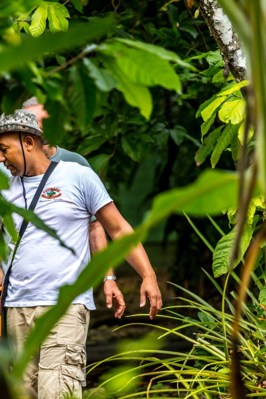 Punta Cana: Anamaya Mountains Walking Tour with Tasting | GetYourGuide