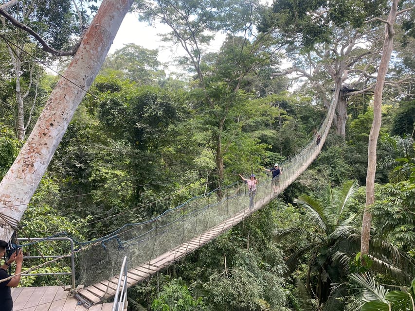 Tambopata: Zipline Adventure & Kayak to Monkey Island | GetYourGuide