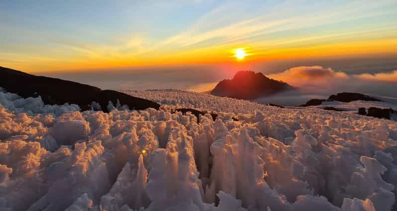 Mount Kilimanjaro Lemosho Route 11 Days | GetYourGuide