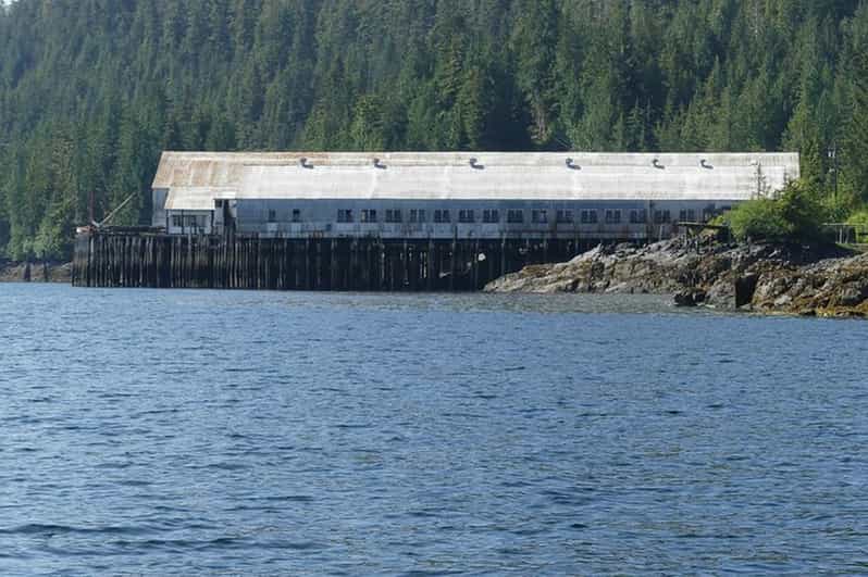 Ketchikan: Private Scenic Drive & George Inlet Fjords Cruise | GetYourGuide