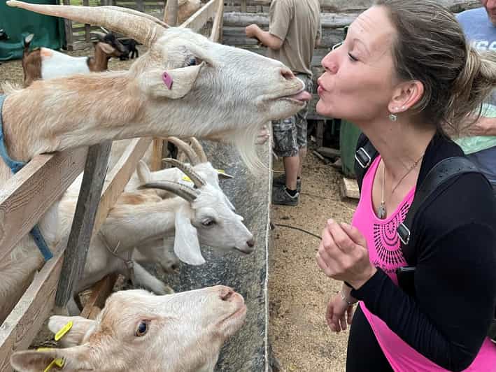 Prague: Bohemian Uplands Garnet Panning & Goat Farm 4WD Tour | GetYourGuide