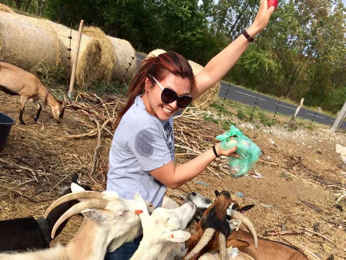 Prague: Bohemian Uplands Garnet Panning & Goat Farm 4WD Tour | GetYourGuide