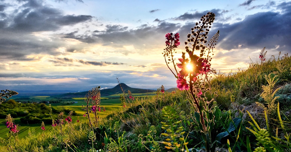 Prague: Bohemian Uplands Garnet Panning & Goat Farm 4WD Tour | GetYourGuide