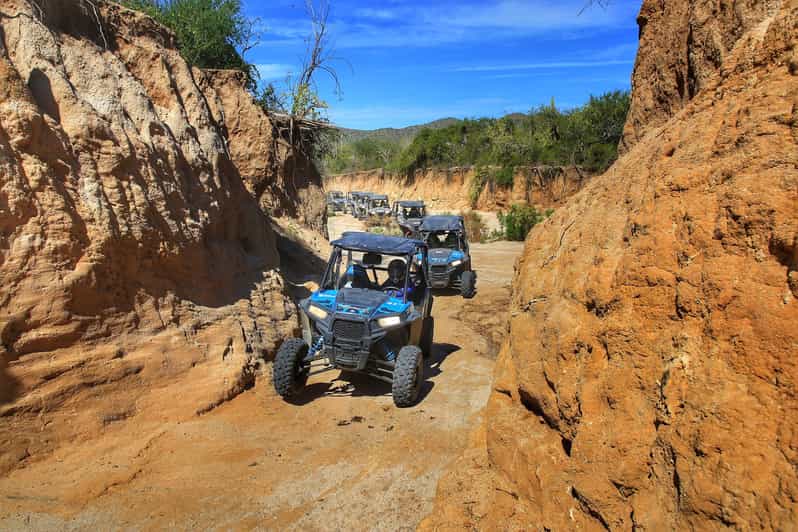 Cabo: UTV Off-Roading, Mexican Lunch, and Tequila | GetYourGuide