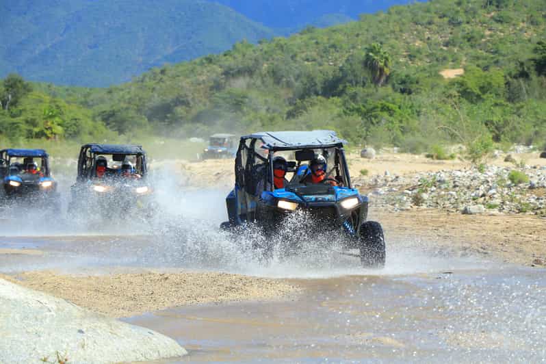 Cabo: UTV Off-Roading, Mexican Lunch, and Tequila | GetYourGuide