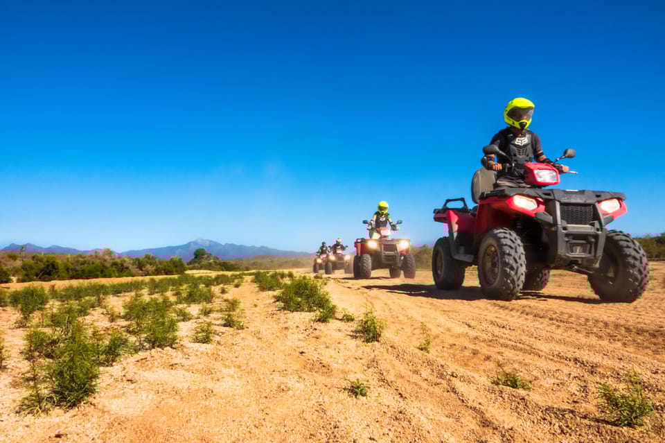 Cabo San Lucas: ATV Desert Tour with Mexican lunch | GetYourGuide