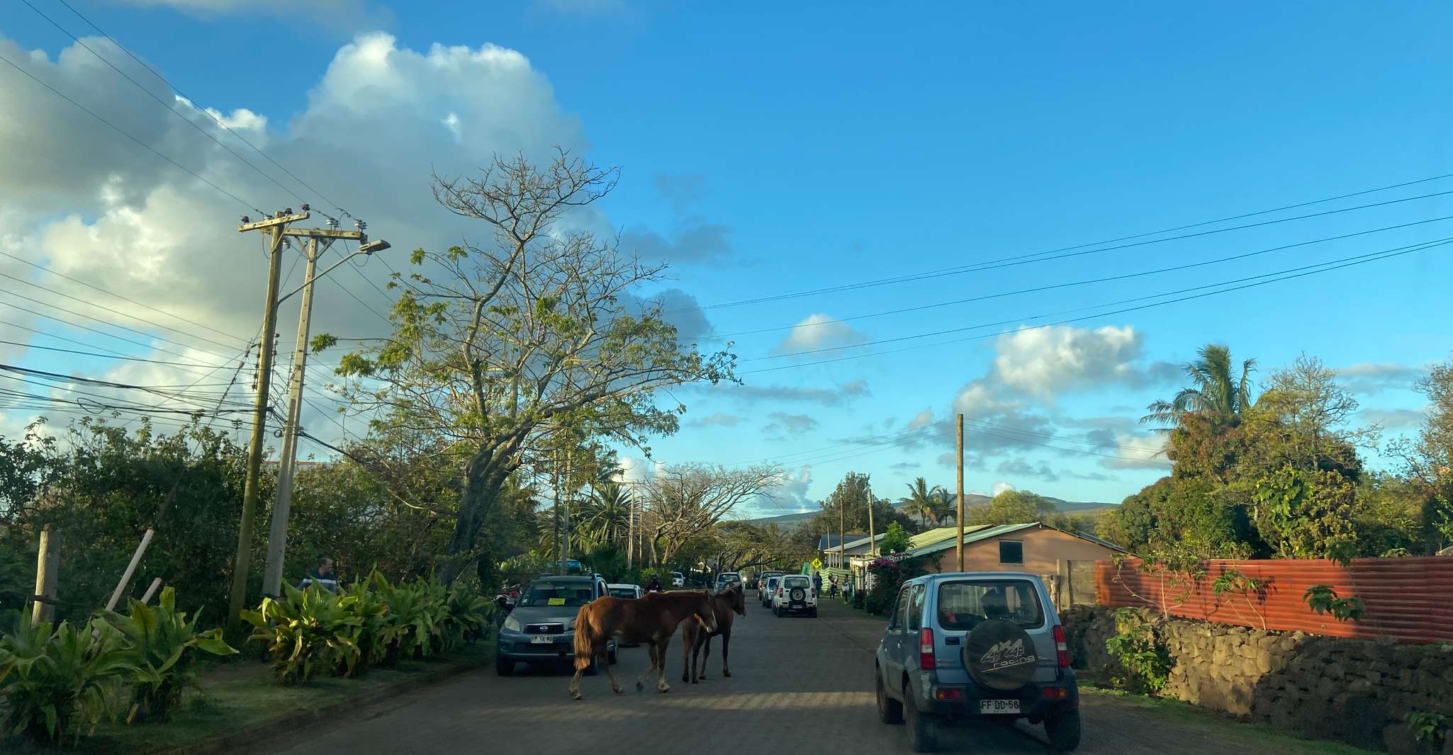 Hanga Roa, The only city of Rapa Nui | Private Tour in Easter island