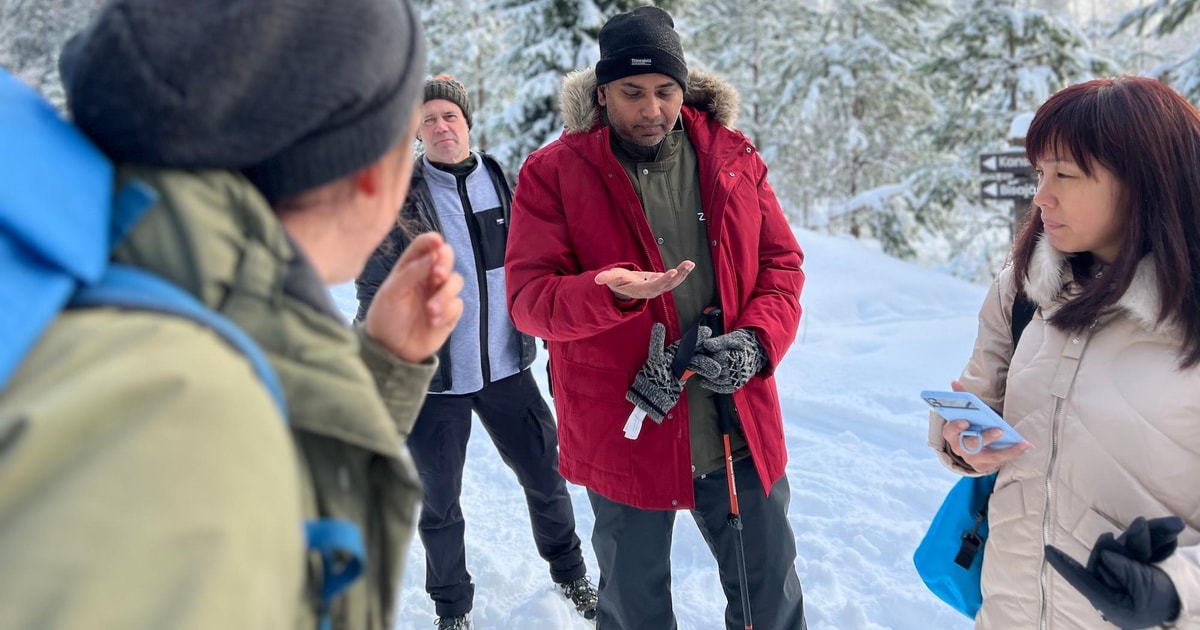 Helsinki: Excursión al Parque Nacional de Liesjärvi en el País de las ...