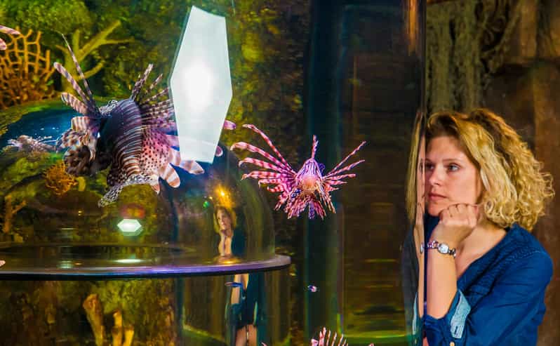 SEA LIFE Timmendorfer Strand biljett | GetYourGuide